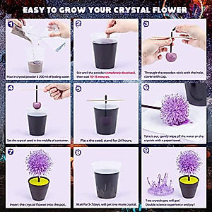 Crystal Growing Kit, STEM Projects Science Kits for Kids Age 8-12, Girls Toys 8-10 Years Old, Crafts Gift Toys for 6 7 8 9 10 11 12 years old Girls & Boys