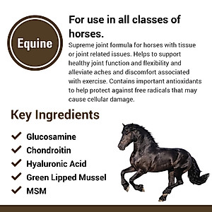Vet Classics ArthriEase-Gold Joint Support for Horses - Powder Health Supplement for Horses – Alleviates Aches and Discomfort – For Flexibility, Healthy Joint Function – Antioxidants 2 lb. 4 Oz.Powder