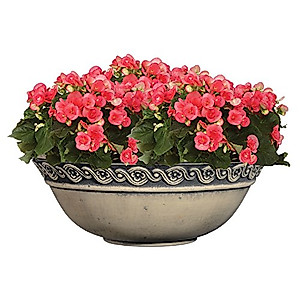 Classic Home and Garden Corinthian Bowl 12" Planter, Cast Concrete