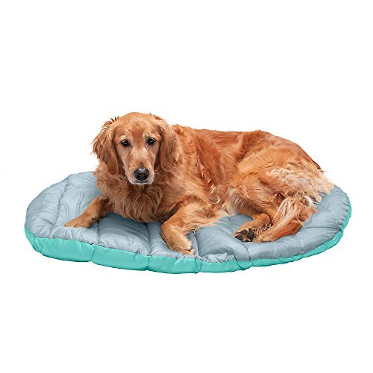 Furhaven Large Dog Bed Trail Pup Travel Pillow Mat w/ Stuff Sack, Washable - Aqua/Granite Gray, Large