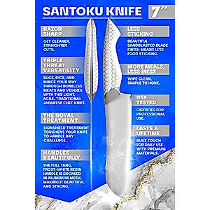 Dalstrong Santoku Knife - 7 inch - Frost Fire Series - High Chromium 10CR15MOV Stainless Steel - Frosted Sandblast Finish - White Honeycomb Handle Kitchen Knife - Leather Sheath - NSF Certified