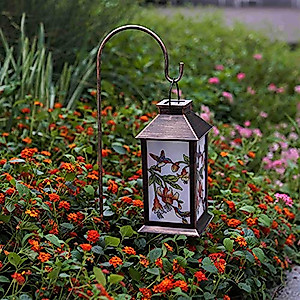 EXCMARK 10 Pathway Lights&1 Hummingbird Lantern. Solar Lights Outdoor Decorative, Solar Pathway Lights Outdoor for Garden Yard Walkway Sidewalk Driveway.