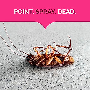 Hot Shot Ant, Roach & Spider Killer, Kills Insects Indoors and Outdoors, Kills Roaches and Listed Ants on Contact, Insecticide Spray, 17.5 Ounce (Crisp Linen)