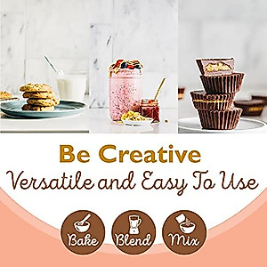 PB2 Powdered Cashew Butter - Cashew Powder with No Added Sugar or Salt [1lb Jar]