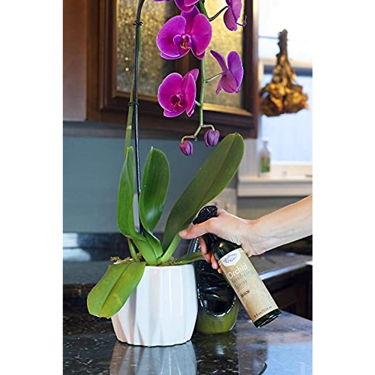 Southside Plants Weekly Orchid Food Fertilizing Spray - Ready to Use Mist Increase Humidity & Nutrients House Plants Farm - Safe Grow Formula for Orchid Leaves, Stems, Roots - 8oz