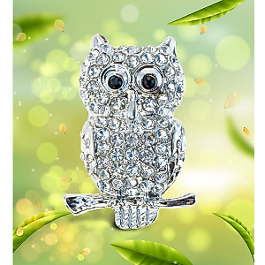 CoTa Global Owl Sparkling Refrigerator Magnet - Silver Sparkling Rhinestones Crystals, Cute Wild Life Animal Bird Magnet For Kitchen Fridge and Locker, Home Decor and Cool Office Decor Novelty - 1.75"