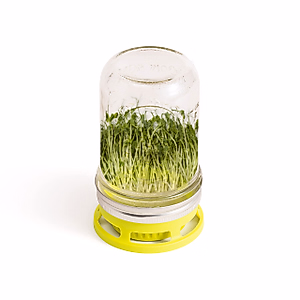 Jarware Mason Jar Lid, Seed Sprouting Lids For Wide Mouth Mason Jars, Set of 2