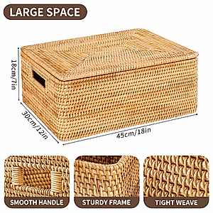 Peslran Rattan Basket With Lid,Large Storage Basket Lidded,Rattan Box For Shelf (18" L×12" W×7" H)