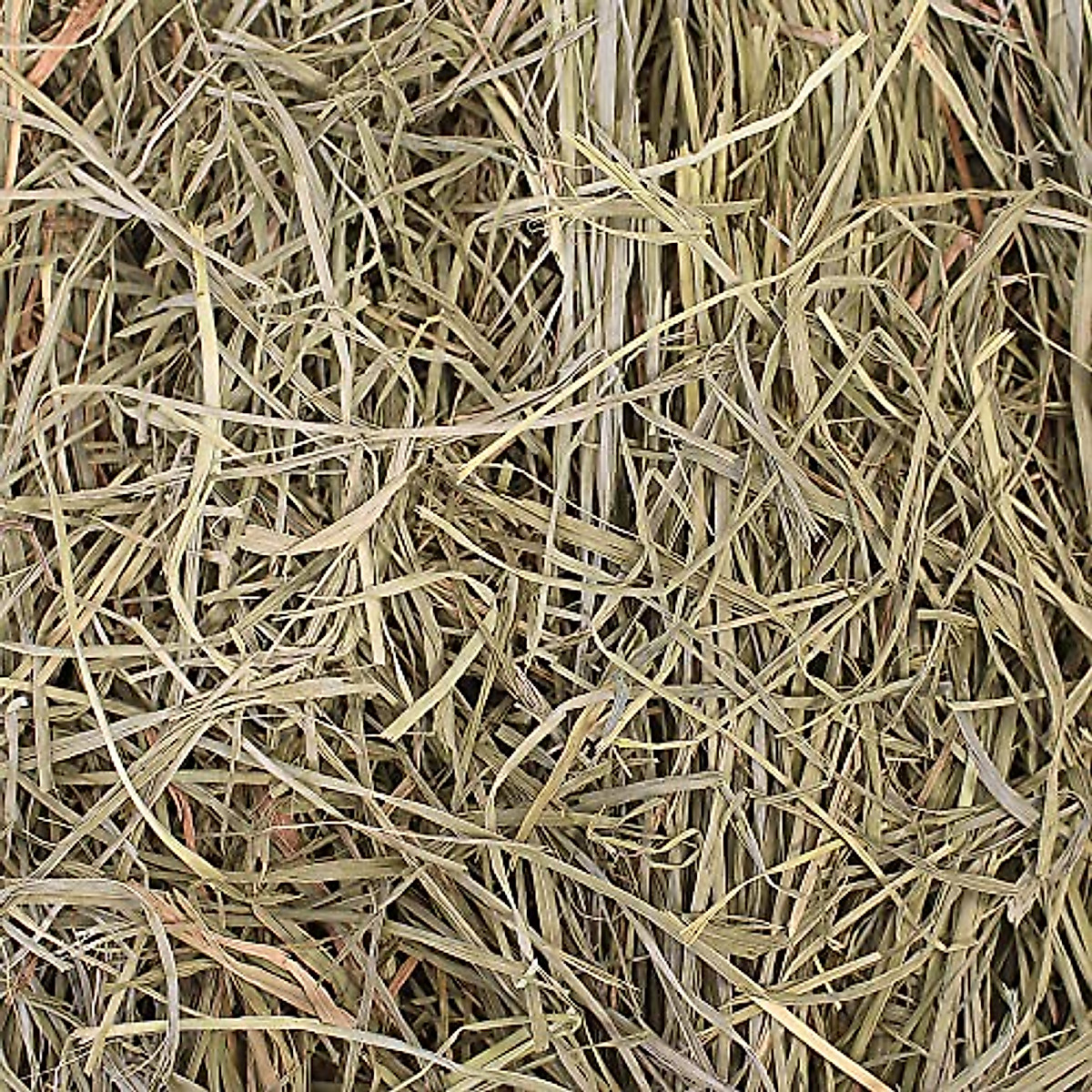 Grandpa's Best Orchard Grass Hay for Rabbits, Guinea Pigs, Chinchillas, Hamsters & Gerbils, 5lb Loose Boxed, Brown