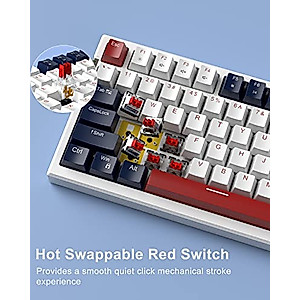 Compact 80% Mechanical Gaming Keyboard, Hot-Swappable Mechanical Keyboard with Number Pad and Red Switches, Blue LED Backlit Keyboard 98 Keys for Windows PC Mac, Blue White