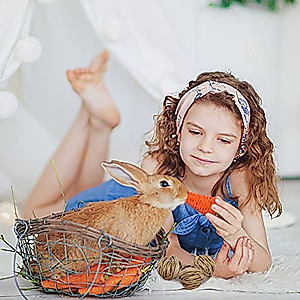 Cathpetic Perfect Rabbit Chew Toys - Guinea Pig Toys Natural Timothy Hay Chinchilla Toys, 100% Hand Made Rabbit Treats Apple and Wood Sweet Bamboo, Small Animal Chew Treat for Rodents Teeth Care