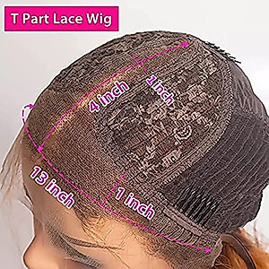 ANITA STYLE #99J Burgundy Lace Front Wigs Long Straight T Part Hair Wigs Wine Red Heat Resistant Fiber Hair Synthetic Lace Front Wigs With Natural Hairline (Burgundy)