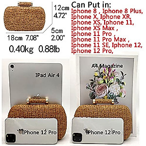 Boutique De FGG Casual Straw Clutch Purses for Women Chain Shoulder & Crossbody Bag Metal Evening Clutches (Small,Coffee)