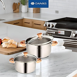 Daniks Oslo Stainless Steel Stock Pot with Glass Lid | Induction 2 Quart | Dishwasher Safe Pot | Heatproof Handles | Soup Pasta Stew Pot | Silver
