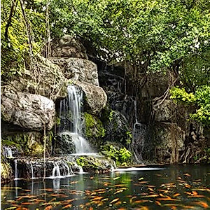 America's Best Koi Food 40 lbs Koi Fish Food - Two 20 lb Sealed Bags - 35% Premium Protein - 1/8 Inch - 3/16 Inch Medium Sized Pond Pellets