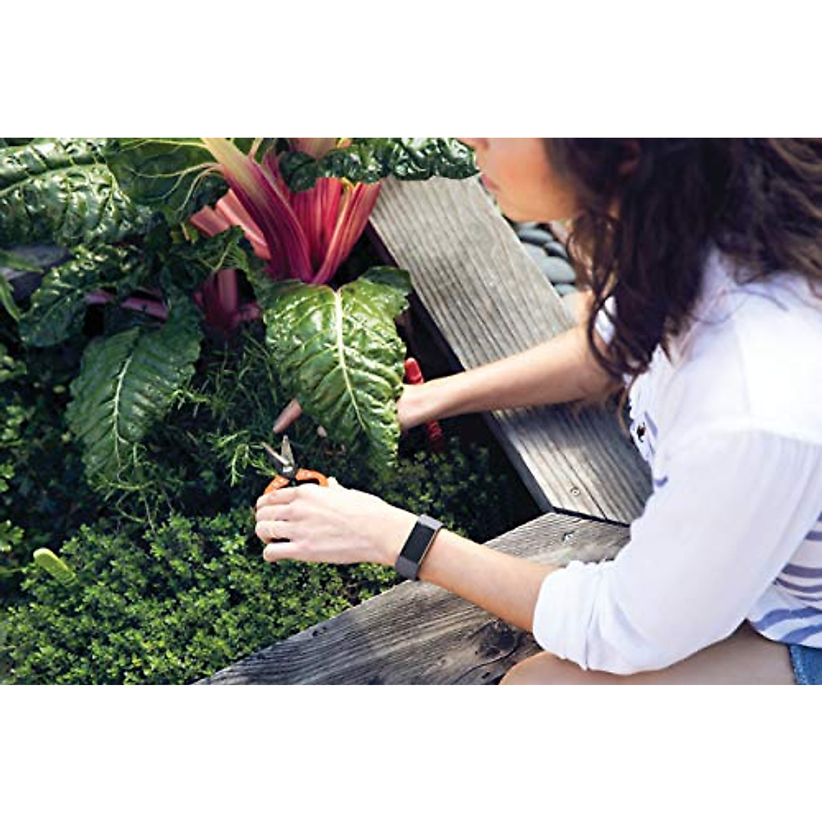 Fitbit Charge 3 Fitness Activity Tracker, Rose Gold/Blue Grey, One Size (S and L Bands Included)