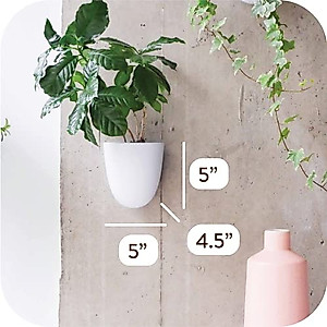 Make Good Virgo Self-Watering Wall Planters (Set of 6) - Easy to Water and Install - Lightweight - Design Your Own Vertical Garden - Wall Planters for Indoor Plants