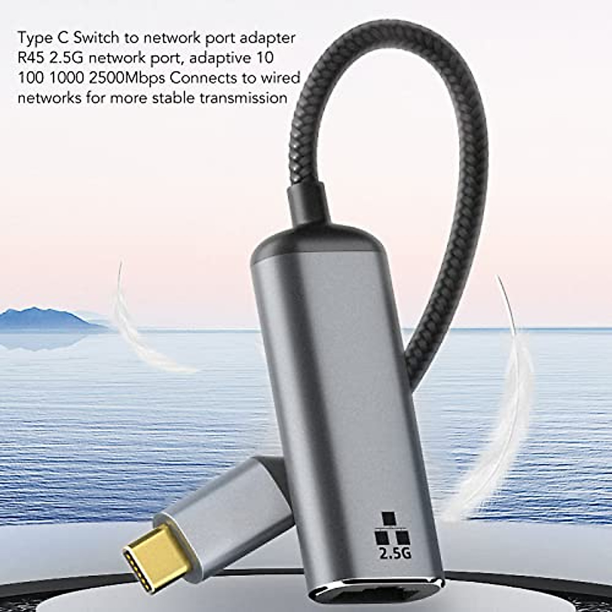 USB C to Ethernet Adapter, 10 100 1000 2500Mbps High Speed, USB Type C to RJ45 2.5G Gigabit Ethernet LAN Network Adapter,for Windows, for Android, for OS, for Linux
