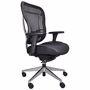 Oak Hollow Furniture Aloria Series Office Chair Ergonomic Executive Computer Chair, Genuine Leather Seat Cushion, Mesh Back, Adjustable Lumbar Support Swivel and Tilt High-Back (Black)