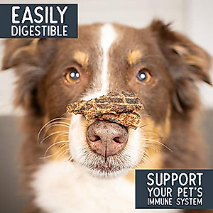 Pet Craft Supply Wild Caught Pure Dehydrated Pacific Salmon Blueberry Cranberry Superfood Healthy High in Antioxidants Vitamins Fish Oil for Small Medium Large Dog Puppy Training Treats