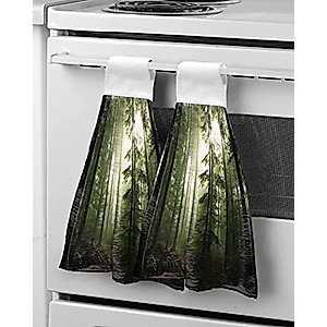 Kitchen Towels with Hanging Loop 2 Pack, Green Forest Sunrise Soft Absorbent Hand Towels for Bathroom Bar Home Decor Nature Tree Dish Towels Reusable Washable Cleaning Cloth