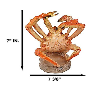 Ebros Gift Nautical Coastal Giant Spider Anthropod Crab Wine Bottle Holder Caddy Figurine Home Kitchen Dining Party Hosting Decor Sea Life Marine Seafood Crustacean Statue