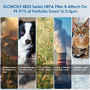 [ELOWOKE] 2-Pack 4825 HEPA Filter B Compatible with Gɜːrm-Guardian Air Purifier Filter Replacement for Model FLT4825 AC4825 AC4300 and more, 2X H13 HEPA Filters & 8X Actɪvated Carbon Pre-Filter