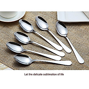 Stainless Steel Dinner Spoon (Set of 6)7.1 Inches, Silver