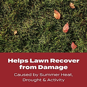 Scotts Turf Builder WinterGuard Fall Lawn Fertilizer for All Grass Types, 4,000 sq. ft., 10 lbs.