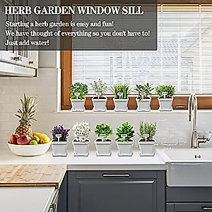 Herb Garden Windowsill Starter Kit - 10 Herb Indoor Kitchen Growing Herb Complete Set Including Everything for Beginner - DIY Garden Gifts for Kid Adult