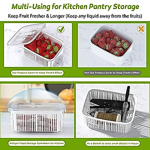 Fruit Storage Containers for Fridge - 10-Piece Kitchen Organizers Leak Proof Produce Saver and Veggie Storage Bins Set for Refrigerator, Plastic Airtight Food Storage Containers with Lids & Handle