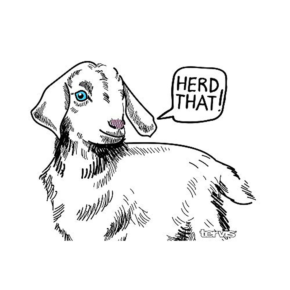 Tervis Herd That Goat Triple Walled Insulated Tumbler Travel Cup Keeps Drinks Cold & Hot, 20oz Legacy, Stainless Steel