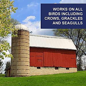 Bird-X (BD) BIRD DEFLECTOR, Standard