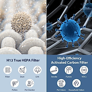Cabiclean 2 Pack VA-EE004 True HEPA Replacement Filter for VAVA VA-EE004 and LEVOIT Vital 100 Air Purifier, Part# Vital 100-RF