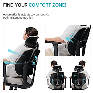 EUREKA ERGONOMIC Ergonomic Office Chair with Back Support, Home Office Desk Chairs Dual Backrests Office Chair, Executive Office Chair Adjustable Arms, Best Office Chair for Lower Back Pain, Beige