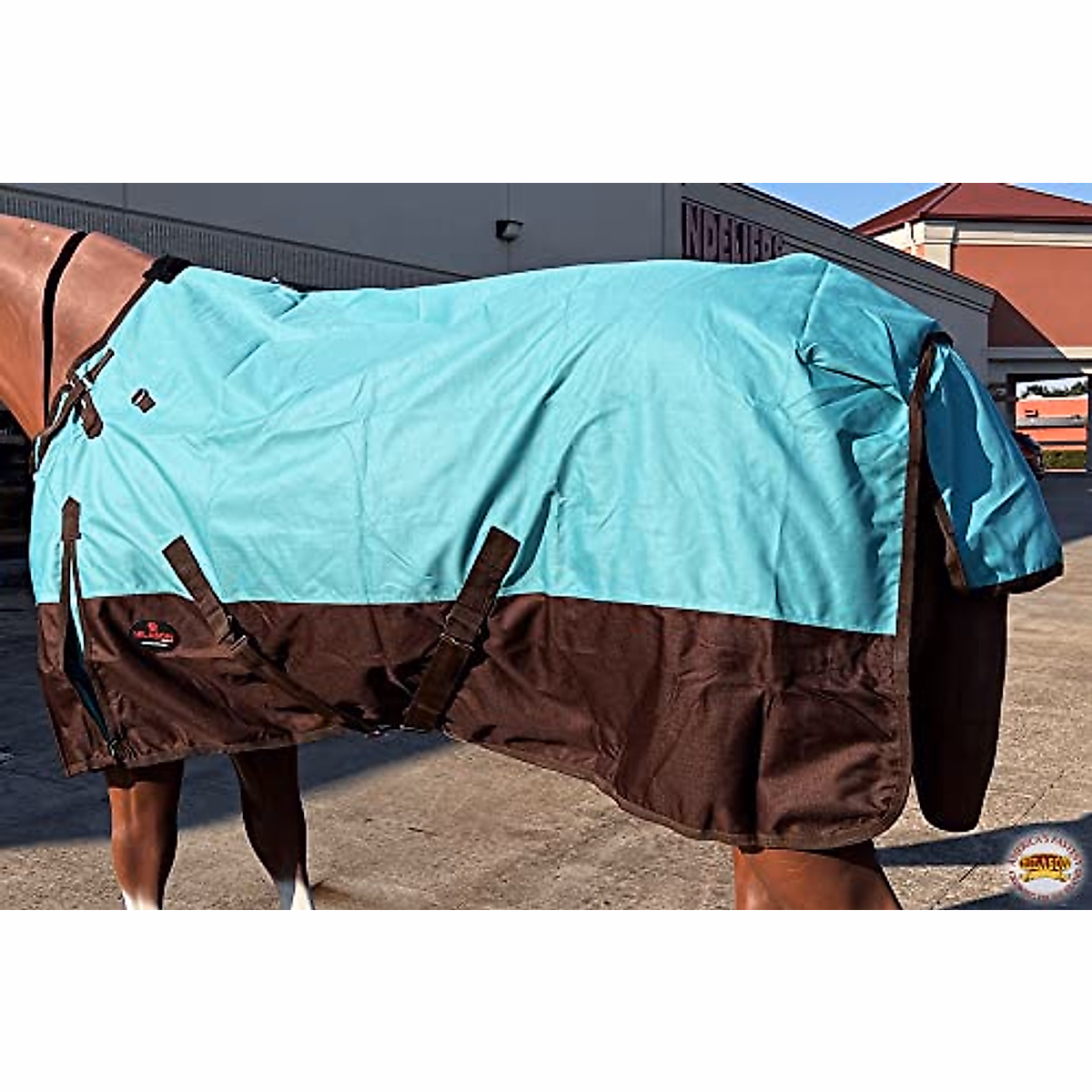 HILASON 1200D Turnout Light Winter Waterproof Rain Sheet Horse Sheet | Horse Sheet | Horse Turnout Sheet | Horse Sheets for Winter | Waterproof Turnout Sheets for Horses