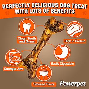 Powerpet Jr. Mammoth Bone - Halloween Dog Treats, Natural Beef Dog Chew Bones, Digestible Dog Bones w/High Calcium, for Dental Health, Large Breeds & Aggressive Chewers - Odorless, Smoked Flavor 1pc