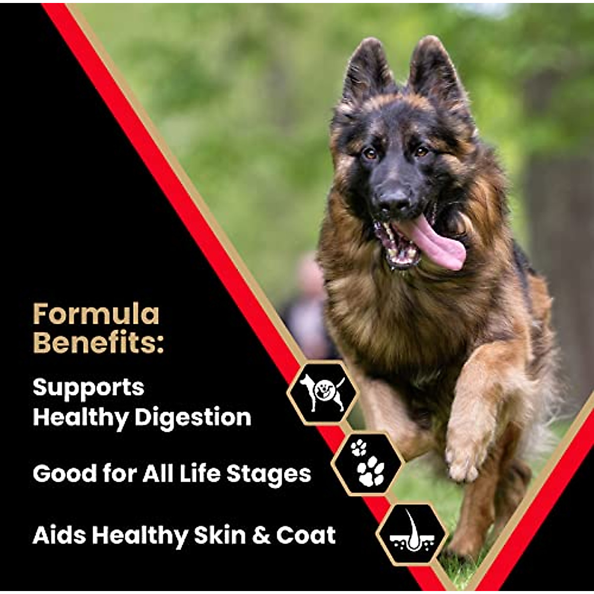 Victor Super Premium Dog Food – High Energy Dry Dog Food for Active Dogs – Gluten Free Dog Food with Beef and Chicken Meal Proteins for Sporting Dogs – All Breeds and All Life Stages, 40 lb