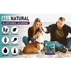 Pet Jerky Factory Premium Duck and Blueberry 5 oz. Dog Jerky Treats | 100% Human Grade | USA Made | High Protein | Grain Free | Limited Ingredients | No Filler | BHA-BHT Free | Soft-Tender