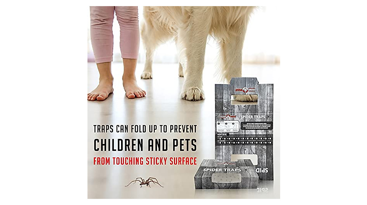 Effective Spider Traps for Home - 16 Pack