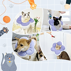 KUDES Cat Cone Collar,Cute Flower Waterproof Elizabethan e Collar for Cat and Small Dog Anti-Bite Lick Wound Healing Protective Neck Cone After Surgery Recovery Collar for Small Pet,All-Season Style