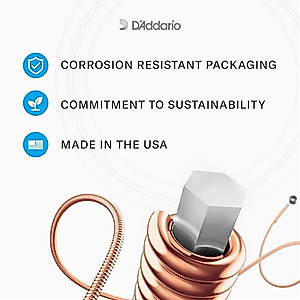 D'Addario Guitar Strings - Phosphor Bronze Acoustic Guitar Strings - EJ16-3D - Rich, Full Tonal Spectrum - For 6 String Guitars - 12-53 Light, 3-Pack