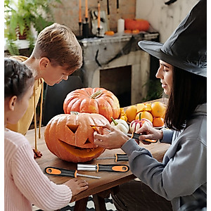 13 Pieces Halloween Pumpkin Carving Kit Professional Stainless Steel Pumpkin Carving Tools Set with Carrying Case for Halloween Pumpkin Decoration