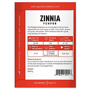 Zinnia Seeds for Planting Outdoors (Pompon) Flower Seed Packet Annual Flower Heirloom, Non-GMO Variety- 800mg Seeds Great for Summer Seeds for Flower Gardens by Gardeners Basics