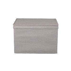 Household Essentials, Silver Wide KD Storage Lid Box