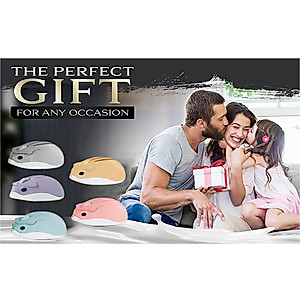 2.4GHz Wireless Mouse Cute Hamster Shape Less Noice Portable Mobile Optical 1200DPI USB Mice Cordless Mouse for PC Laptop Computer Notebook MacBook Kids Girl Men Women Mom Dad Gift (Blue)