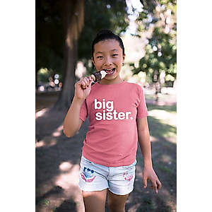 Big Sister Shirt Outfit Announcement Toddler Sibling Reveal to be 18 Months 2t 3t (2 Years, Mauve)