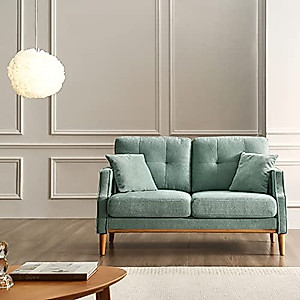 Plococo 56.7" Loveseat Sofa Couch with 2 Pillows, USB Charge Port and Solid Wood Frame and Legs, Waterproof Fabric Loveseats with Thickness Seat and Back Cushion for Small Aparment (Aqua)