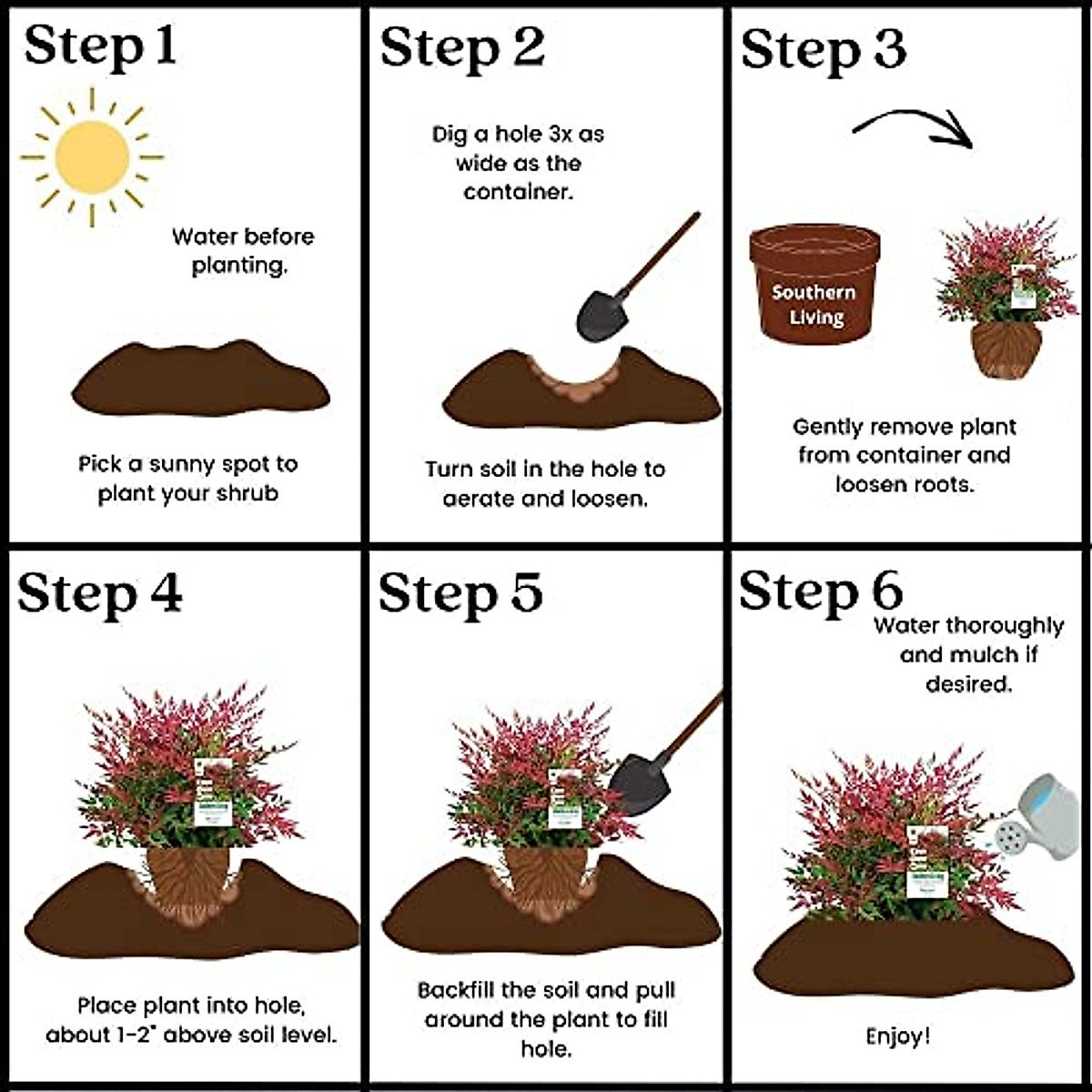 2 Gal. Obsession Nandina Shrub