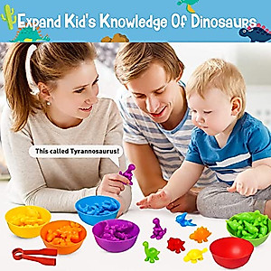 Counting Dinosaurs Color Sorting with Rainbow Bowls for Kids, Sensory Training & Counting Activity, Montessori Preschool Education Learning Math Sorting Toys Sets Gift for 3-5 Years Old Boys Girls
